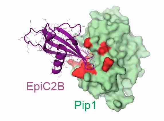 Home [www.plantchemetics.org]